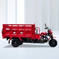 China 1 Passenger DAYANG Luxury Gas Power Cargo Tricycle 201 250cc Hydraulic 09 Type 2m*1.3m for sale
