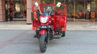 China 1 Passenger DAYANG Luxury Gas Power Cargo Tricycle 201 250cc Hydraulic 09 Type 2m*1.3m for sale
