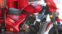 China 1 Passenger DAYANG Luxury Gas Power Cargo Tricycle 201 250cc Hydraulic 09 Type 2m*1.3m for sale