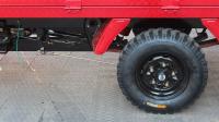 China 1 Passenger DAYANG Luxury Gas Power Cargo Tricycle 201 250cc Hydraulic 09 Type 2m*1.3m for sale