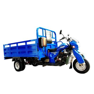 China 250CC/300CC Engine DAYANG Customized Freestyle Motorized Tricycle for Easy Cargo Loads for sale