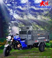 China Cargo Transportation 175cc 200cc 250cc Air-cooled Motorized Tricycles for Passengers for sale