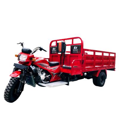 China Standard Size Motorized Tricycles 800kg Loading Capacity for Your Business Needs for sale