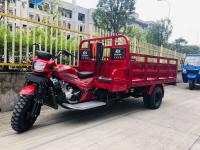 China Tire Size 5.0-12 Motorized 300cc Self Loader Three Wheel Cargo Tricycle for Adult for sale