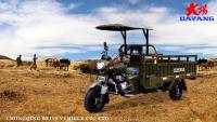 China Water Cooled Engine Semi Cabin Tricycle for Adult 200CC/250CC/300CC High Loading Capacity for sale