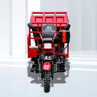 China Maximum Speed 50-70Km/h High Cargo Side Adult Recumbent Tricycle 200cc Tipper Motorized for sale