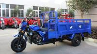 China Versatile Motorized Tricycles Cargo Part Passenger Tricycle for Various Applications for sale