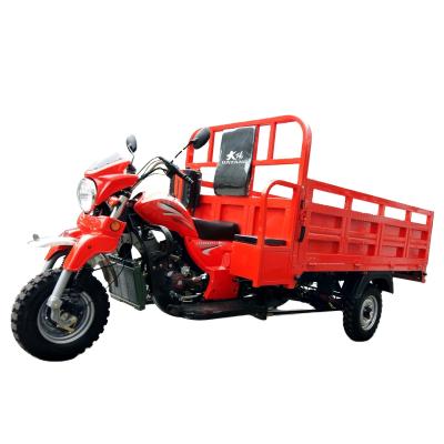 China 2022 Adults Home Farm Gas Powered Heavy Duty Cargo Vehicle Tricycle with 1000W Power for sale