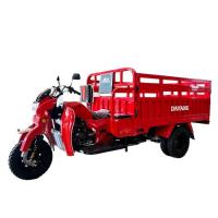 China Motorized 200cc Petrol Passenger Tricycle with Super Galaxy Design in South Africa for sale
