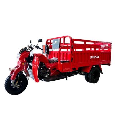 China Motorized 200cc Petrol Passenger Tricycle with Super Galaxy Design in South Africa for sale