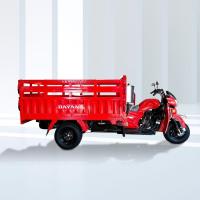 China Motorized 200cc Petrol Passenger Tricycle with Super Galaxy Design in South Africa for sale