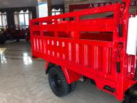 China Motorized 200cc Petrol Passenger Tricycle with Super Galaxy Design in South Africa for sale
