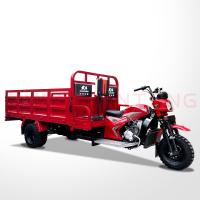 China 250cc Gas 3 Wheels Tricycle Heavy Duty Cargo Box Container for Standard Size Travel for sale
