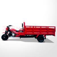 China 250cc Gas 3 Wheels Tricycle Heavy Duty Cargo Box Container for Standard Size Travel for sale