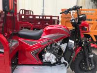 China 250cc Gas 3 Wheels Tricycle Heavy Duty Cargo Box Container for Standard Size Travel for sale