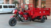 China Tuk Tuk Chassis 250cc Zongshen Engine Hot Gasoline Cargo Tricycle for 5.0 Inch 70 Km/h for sale