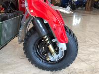 China 200cc Gasoline Cargo Tricycle with 5.0 Inch Wheels and 500kg Load Capacity Your Choice for sale