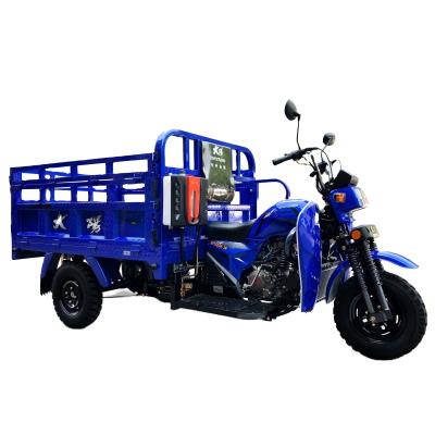China Customized 175cc Water Cooling Motorized Tricycle for Farming and Cargo Transportation for sale