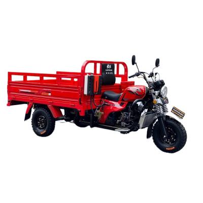 China DAYANG High Stability Sales Cargo Tricycle with Full Float Belt and Changan Rear Axle for sale