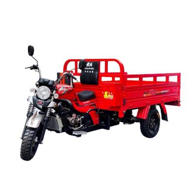 China DAYANG 200cc Gas Tricycle with 5.0 Inch Wheels and Durable Lifan Engine in Cameroon for sale
