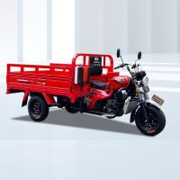 China DAYANG 200cc Gas Tricycle with 5.0 Inch Wheels and Durable Lifan Engine in Cameroon for sale