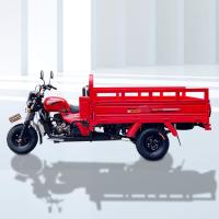 China DAYANG 200cc Gas Tricycle with 5.0 Inch Wheels and Durable Lifan Engine in Cameroon for sale