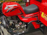 China DAYANG 200cc Gas Tricycle with 5.0 Inch Wheels and Durable Lifan Engine in Cameroon for sale