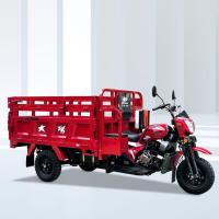 China Manufacturers 250cc 3 Wheel Gasoline Trimotos for Heavy Duty Load Carrying in Abidjan for sale