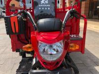 China Manufacturers 250cc 3 Wheel Gasoline Trimotos for Heavy Duty Load Carrying in Abidjan for sale