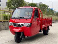 China 500kg Load Capacity 3-Wheel Tricycle with Enclosed Cabin and Cargo Box in Malaysia for sale