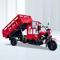 China Standard Size Tri Bike Model Tuk Tuk South Africa Mini Dumper Strong Power Cargo Tricycle for sale