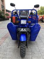 China 150cc 200cc Gasoline Motor Cargo Tricycle Prix/Three Motorcycle for 1 Passenger in India for sale