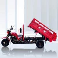 China 10L Capacity Petrol Gasoline Motorized Cargo Tricycles Perfect for Indonesian Market for sale