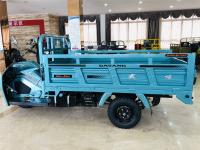 China 200/250/300cc Water Cooled Engine Cargo Tricycles Perfect for Long-Distance Travel for sale