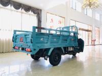 China 200/250/300cc Water Cooled Engine Cargo Tricycles Perfect for Long-Distance Travel for sale