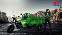 China 1000Kg Motorised Tricycle Three Wheel Cargo Motorcycle with 12V Electric and Kick Start for sale