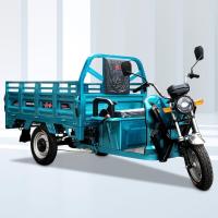 China SHOCK 37 SHOCK BLUE Chinese 3 Wheeler with Two Seat Electric Tricycle Cargo Bike for sale