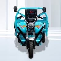 China SHOCK 37 SHOCK BLUE Chinese 3 Wheeler with Two Seat Electric Tricycle Cargo Bike for sale