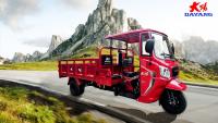 China 300cc Water Engine Motorized Tricycle Cargo for Global Market Cheaper and Strong Power for sale