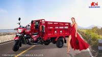 China DAYANG 3wheels Motorcycle Tricycle with Rear Spring Leafs 5 2 Motorized Driving Type for sale