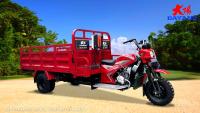 China 50 * 100 Motorized Cargo Trike 250cc Three Wheel Motorcycle Fuel Type Petrol Gasoline for sale
