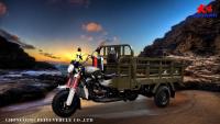 China 250cc Three Wheeler Heightening Carriage Motorized Tricycle for Adults Cargo Tricycle for sale