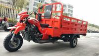 China 800W Motor DAYANG 3 Wheel Trike E Rickshaw for Heavy Load Transportation in Myanmar for sale