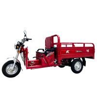 China Customized Body 800W Light Load Three Wheel Cargo Motorcycle Tricycle Trike Bike for Adult for sale