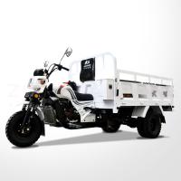 China Five Wheel Tricycle Chinese Motorized Gas Powered 151cc Standard Size Cargo 40*80 for sale