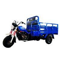 China 1.8m Cargo Box Size Motorized Cargo Tricycle for Farming 175CC/200CC/250CC Engine for sale