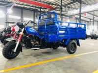 China 1.8m Cargo Box Size Motorized Cargo Tricycle for Farming 175CC/200CC/250CC Engine for sale