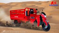 China 300cc Water Cooled Gasoline Engine Cargo Tricycle with Customized Motor from DAYANG for sale