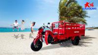 China 300cc Water Cooled Gasoline Engine Cargo Tricycle with Customized Motor from DAYANG for sale