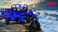 China Open Body Type DAYANG Powerful Motor Tricycle for Cargo 200cc 250cc Gasoline Pedicab for sale